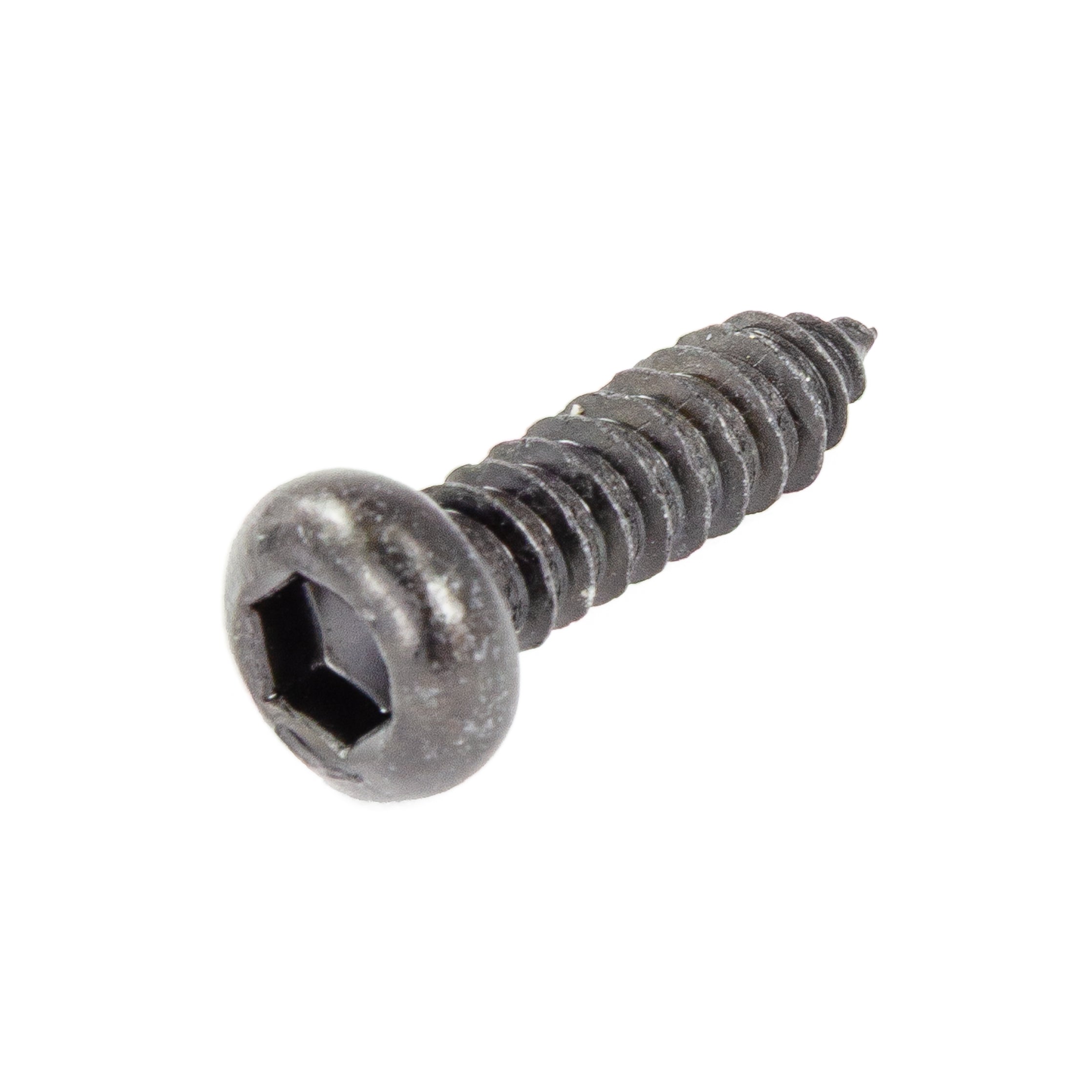 Thule 1500052515 Replacement M6.3x22 Pan Head Socket Screw (Trail Bask ...